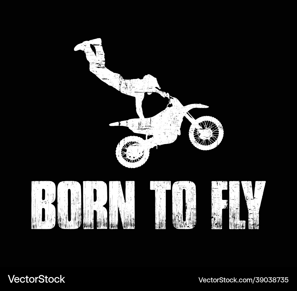 Born to fly Royalty Free Vector Image - VectorStock