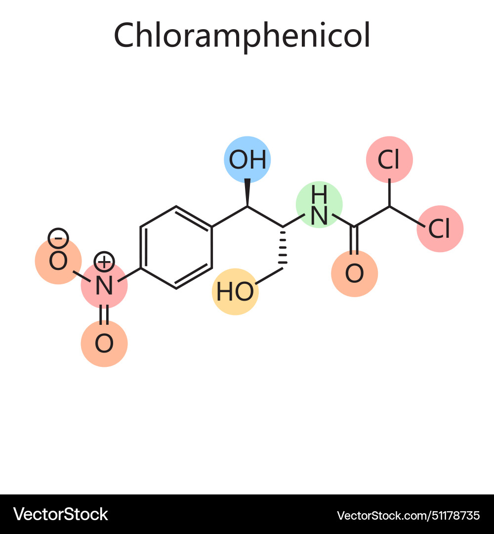 Chemical formula chloramphenicol molecule diagram Vector Image