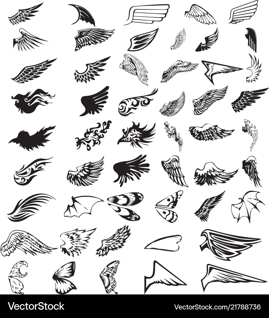 43 wing types Royalty Free Vector Image - VectorStock