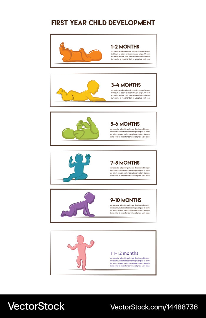 Baby development stages milestones first one year Vector Image