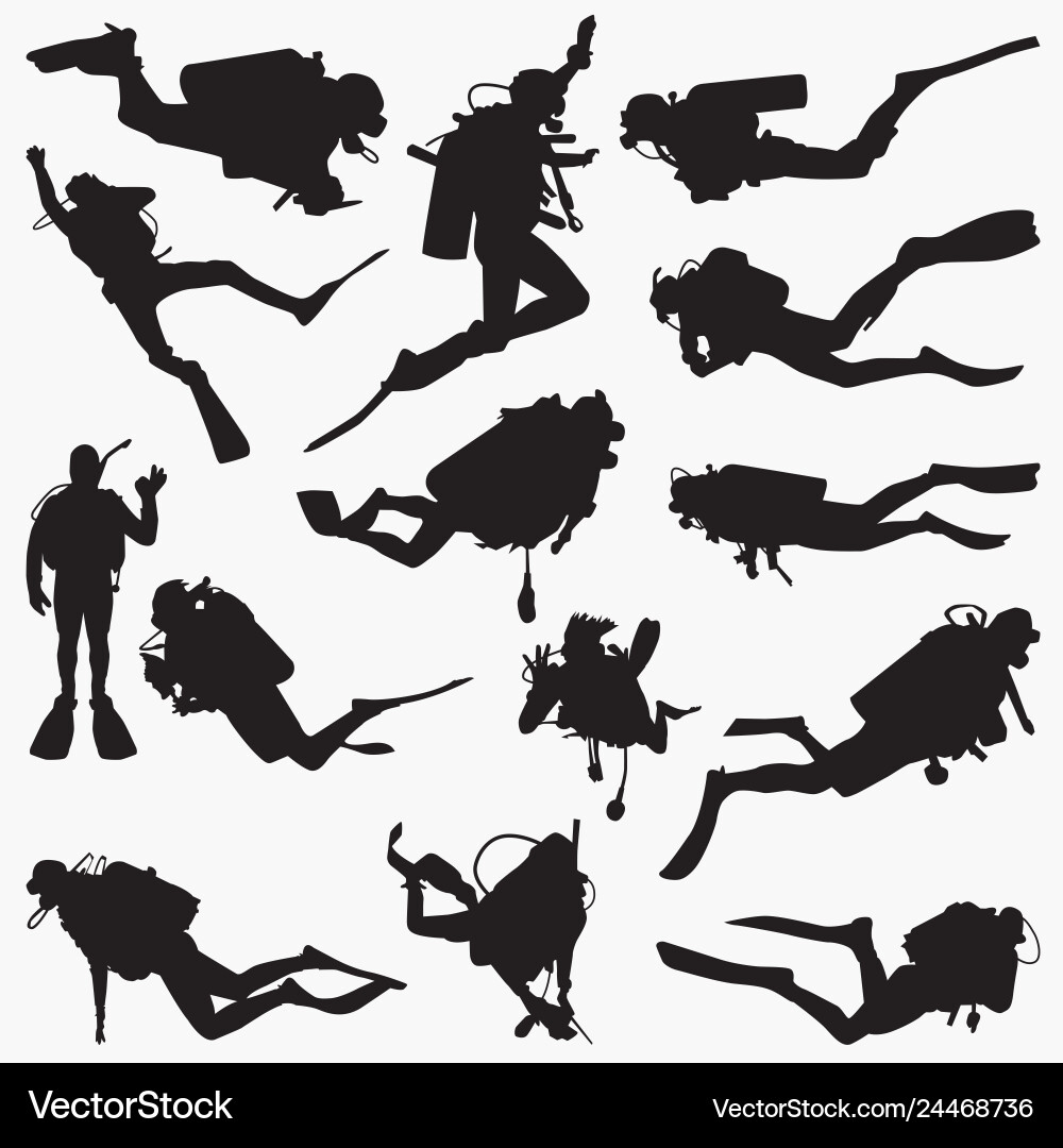 Diver silhouettes Royalty Free Vector Image - VectorStock