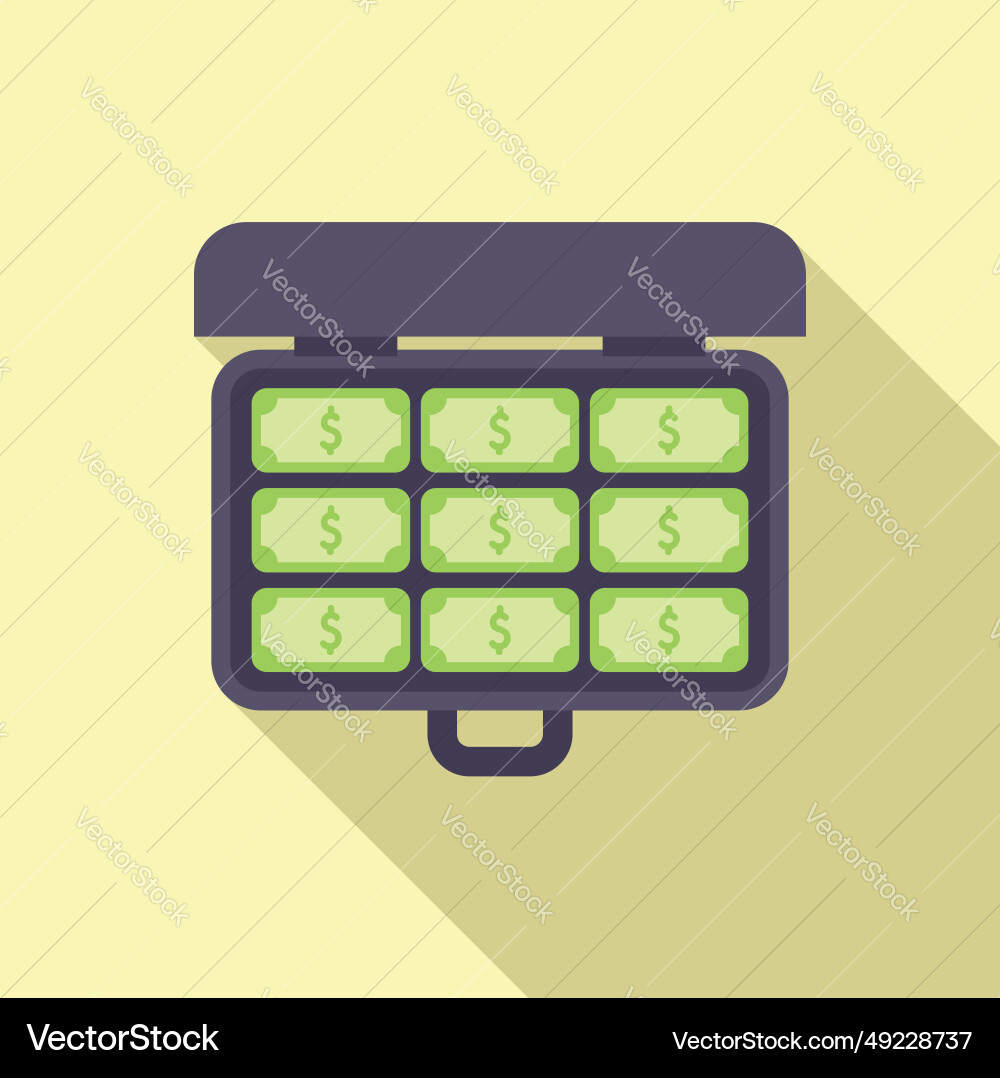 Cash pack in case money icon flat currency Vector Image