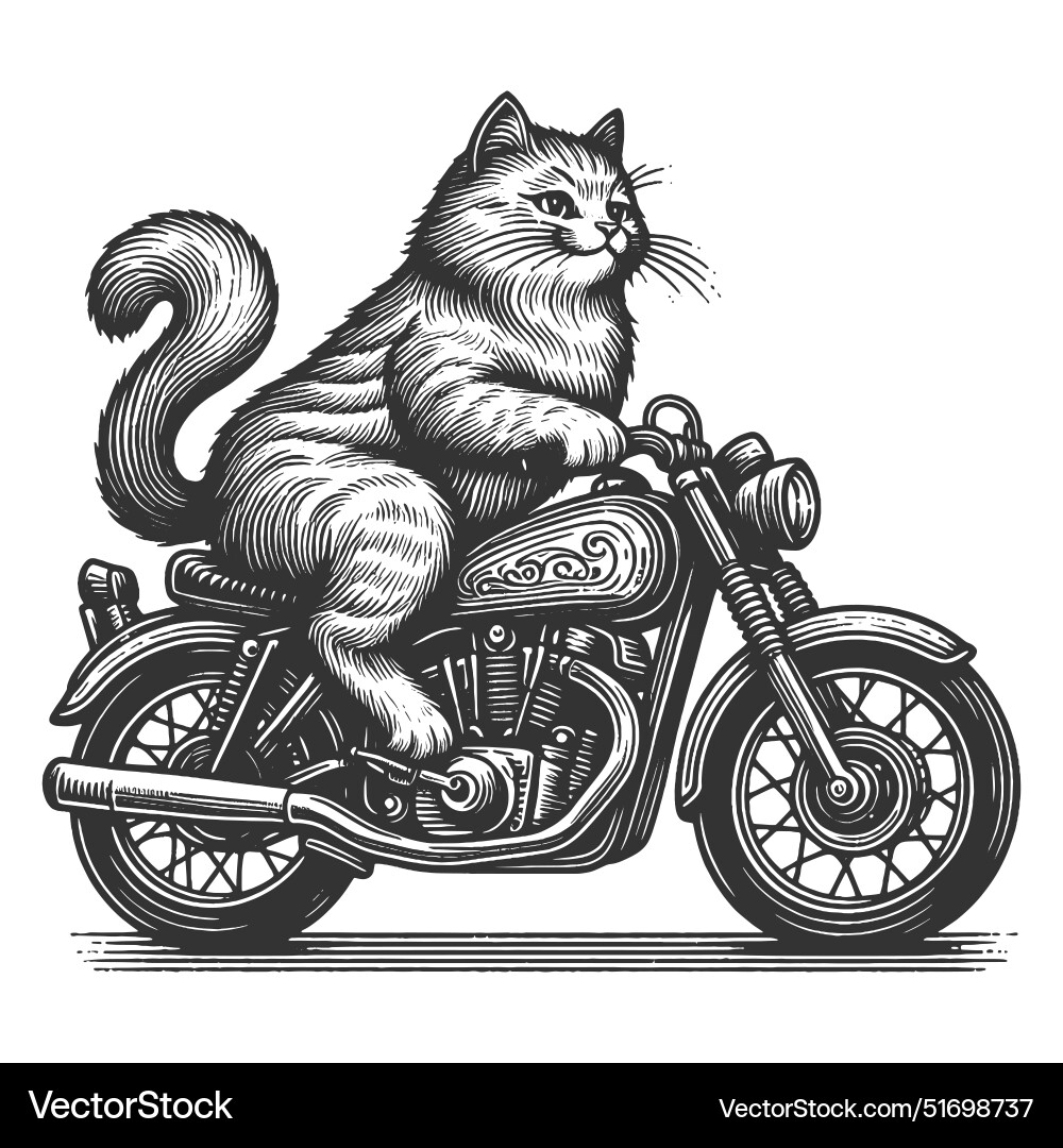 Cat riding motorcycle in leather jacket Royalty Free Vector