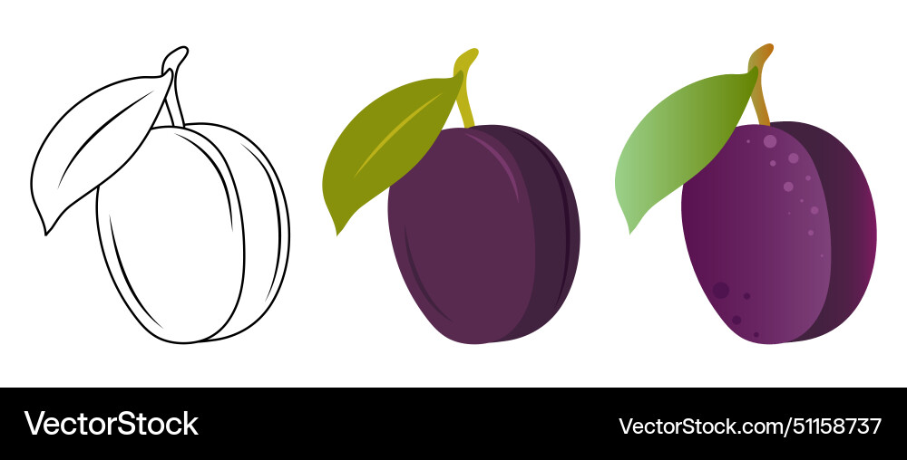 Plum Royalty Free Vector Image - VectorStock