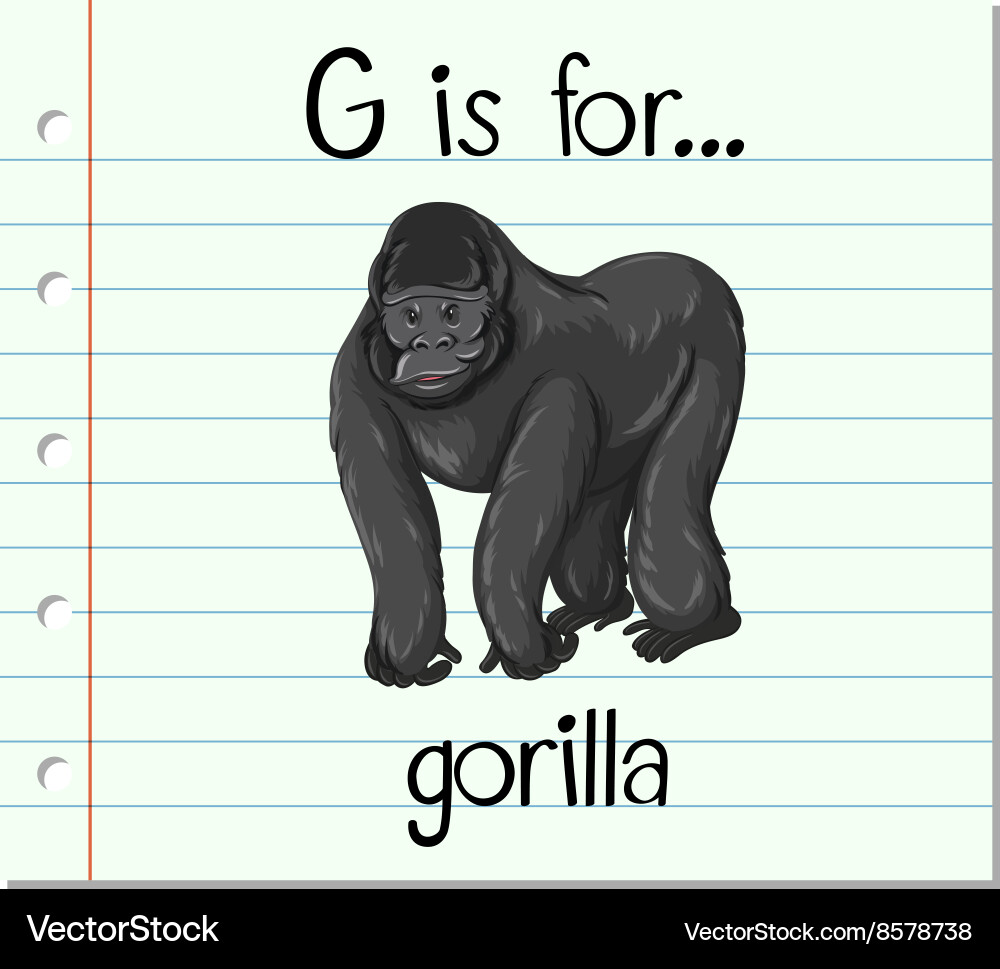 Flashcard letter g is for gorilla Royalty Free Vector Image
