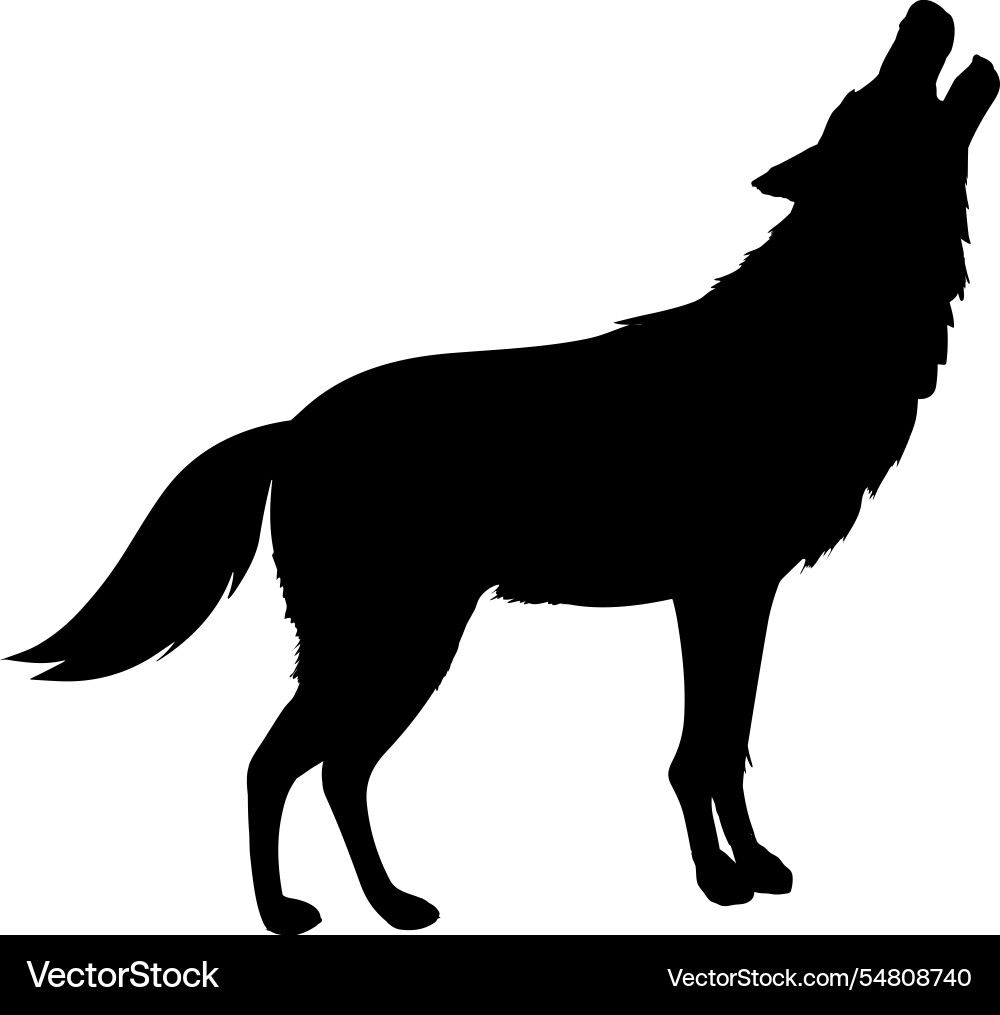 Lone Wolf Howling Royalty Free Vector Image - VectorStock