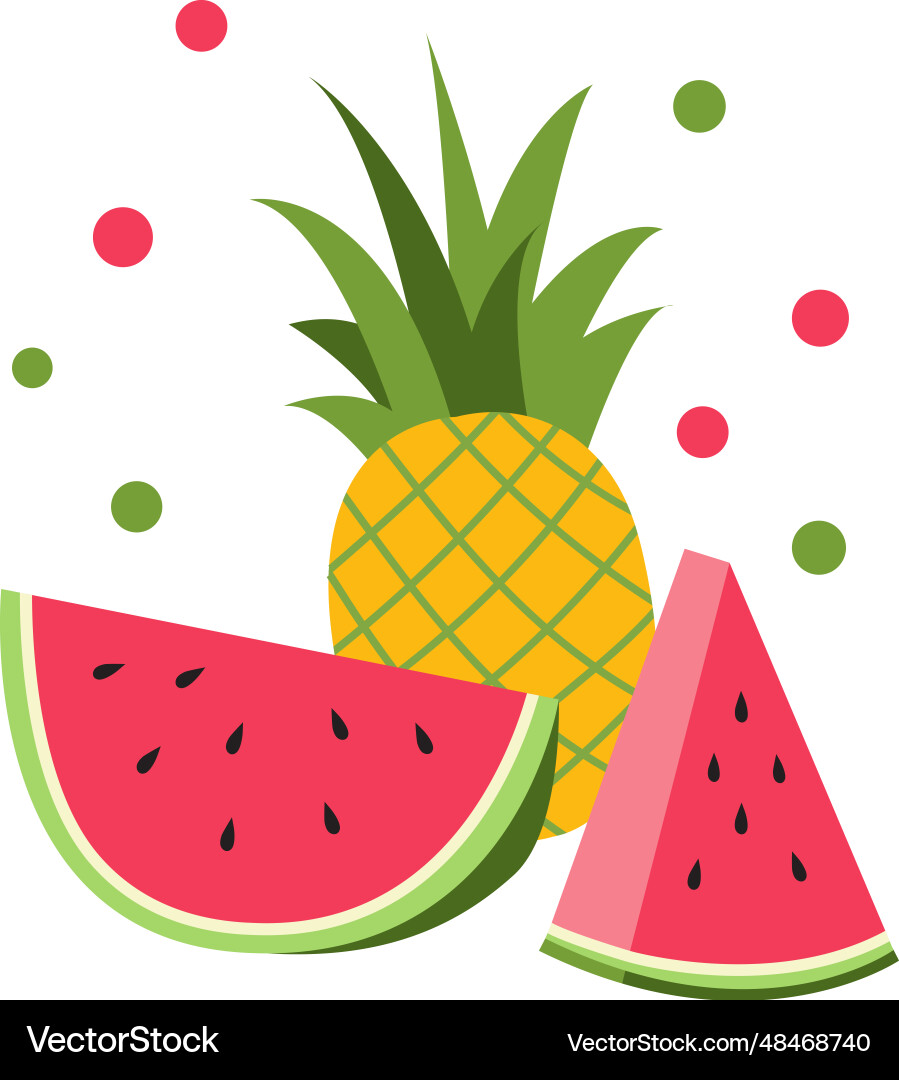 Pineapple with watermelon slices summer tropical Vector Image