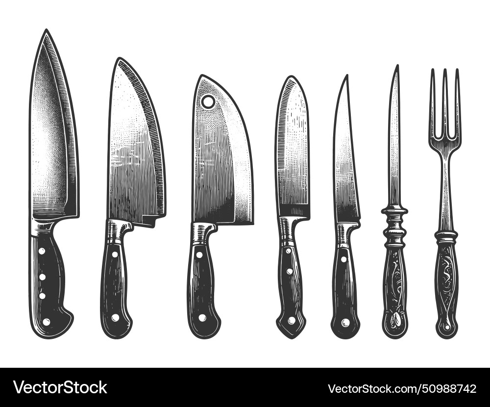 Set of chef knives engraving Royalty Free Vector Image