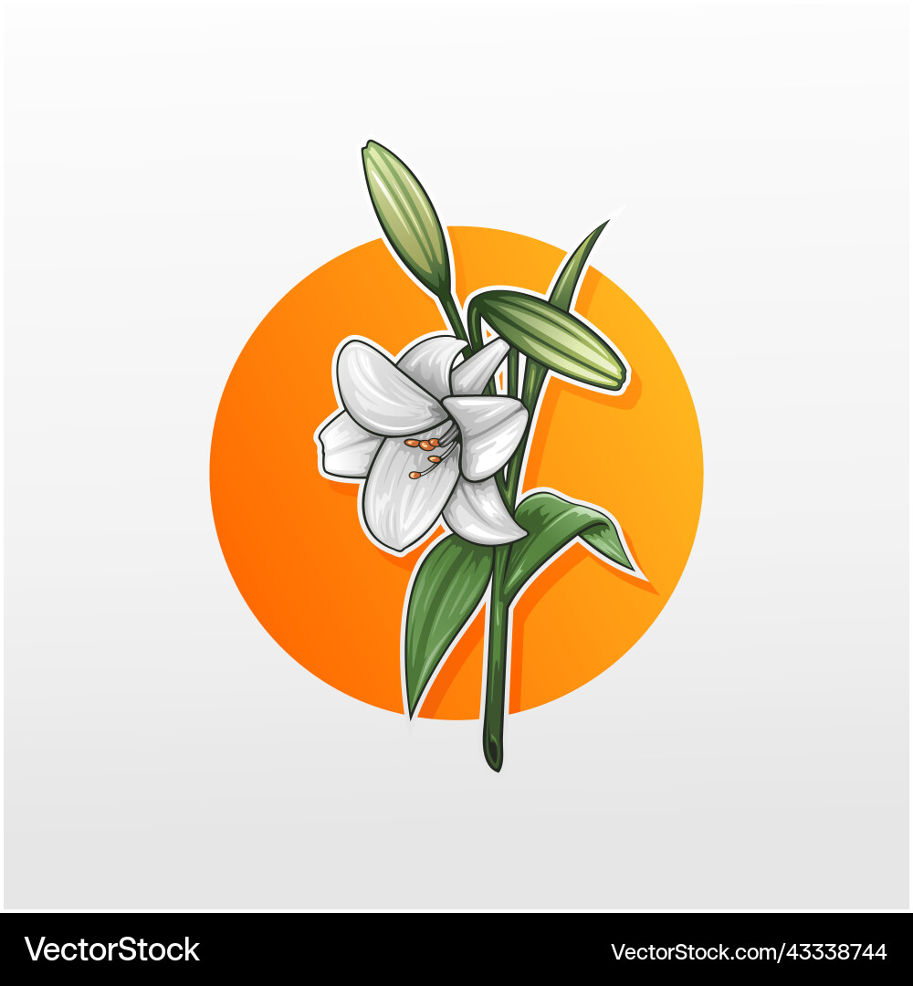 Bunch of lily flowers Royalty Free Vector Image