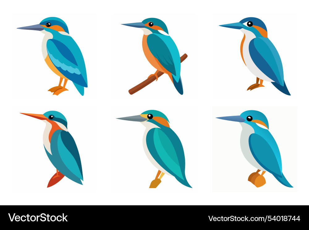 Kingfisher Royalty Free Vector Image - VectorStock