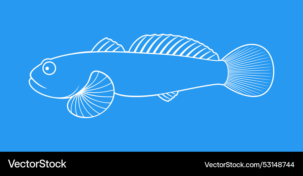 Sea goby Royalty Free Vector Image - VectorStock