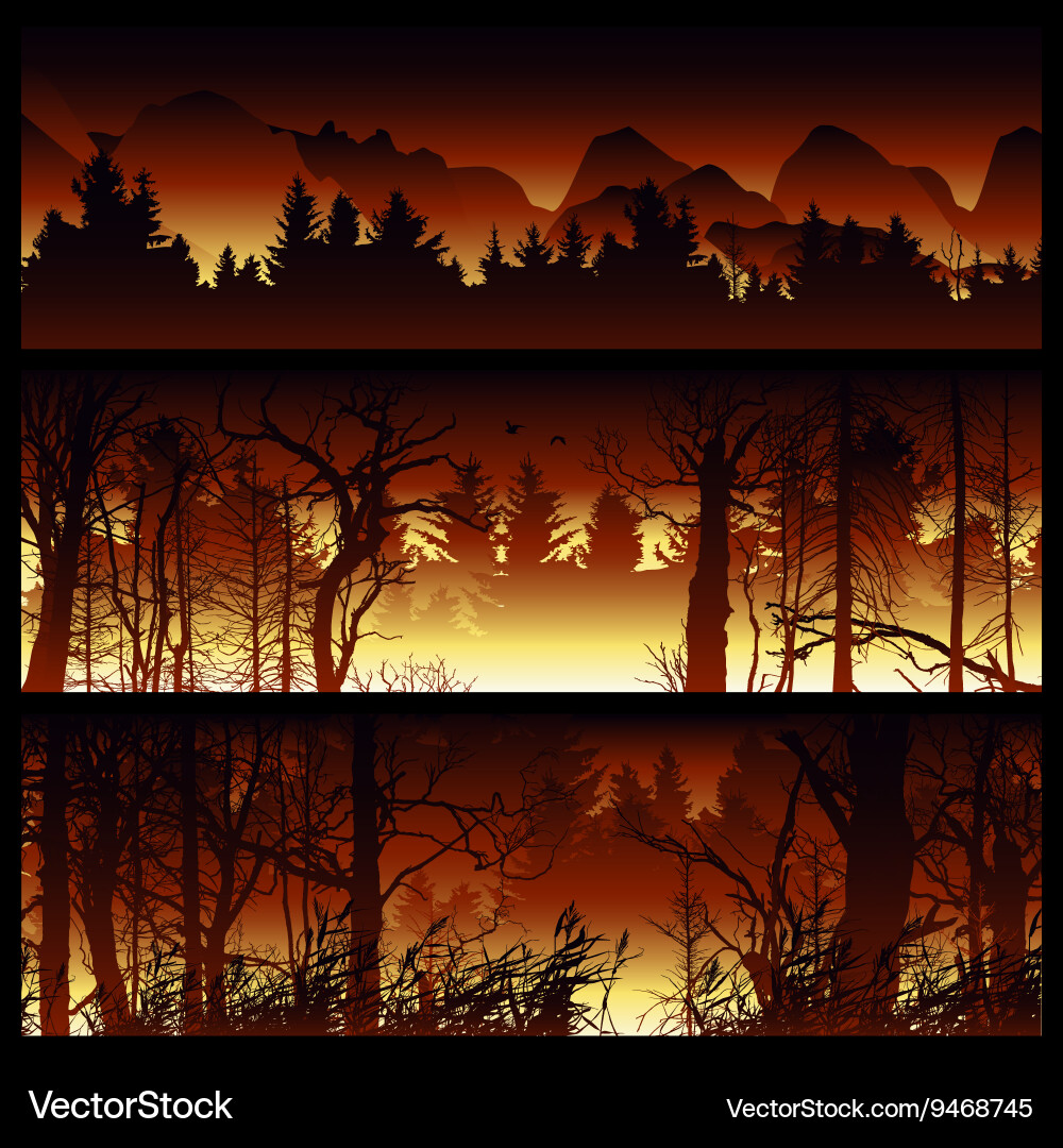 Burning Forest Landscape Royalty Free Vector Image