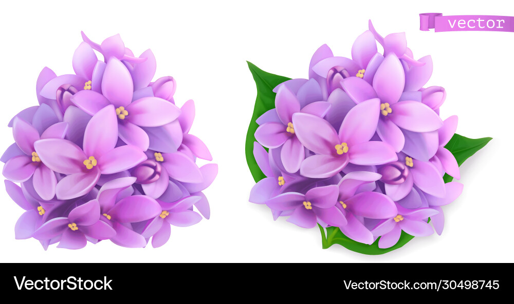 Syringa Lilac Flowers - 3D Realistic Icon Vector Image