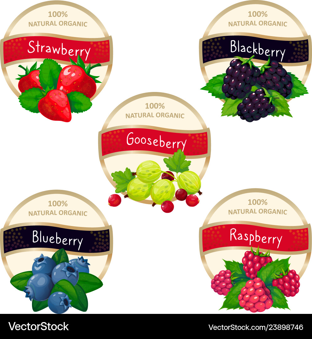 Berry jam and marmalade labels fresh strawberry Vector Image