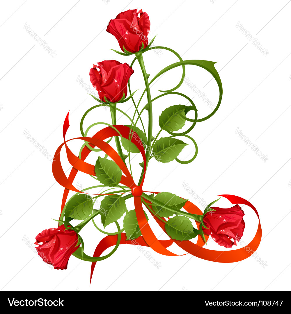 Roses Royalty Free Vector Image - VectorStock