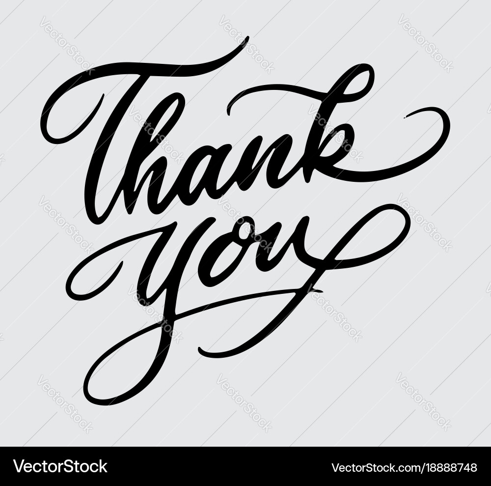 Thank you handwriting calligraphy Royalty Free Vector Image