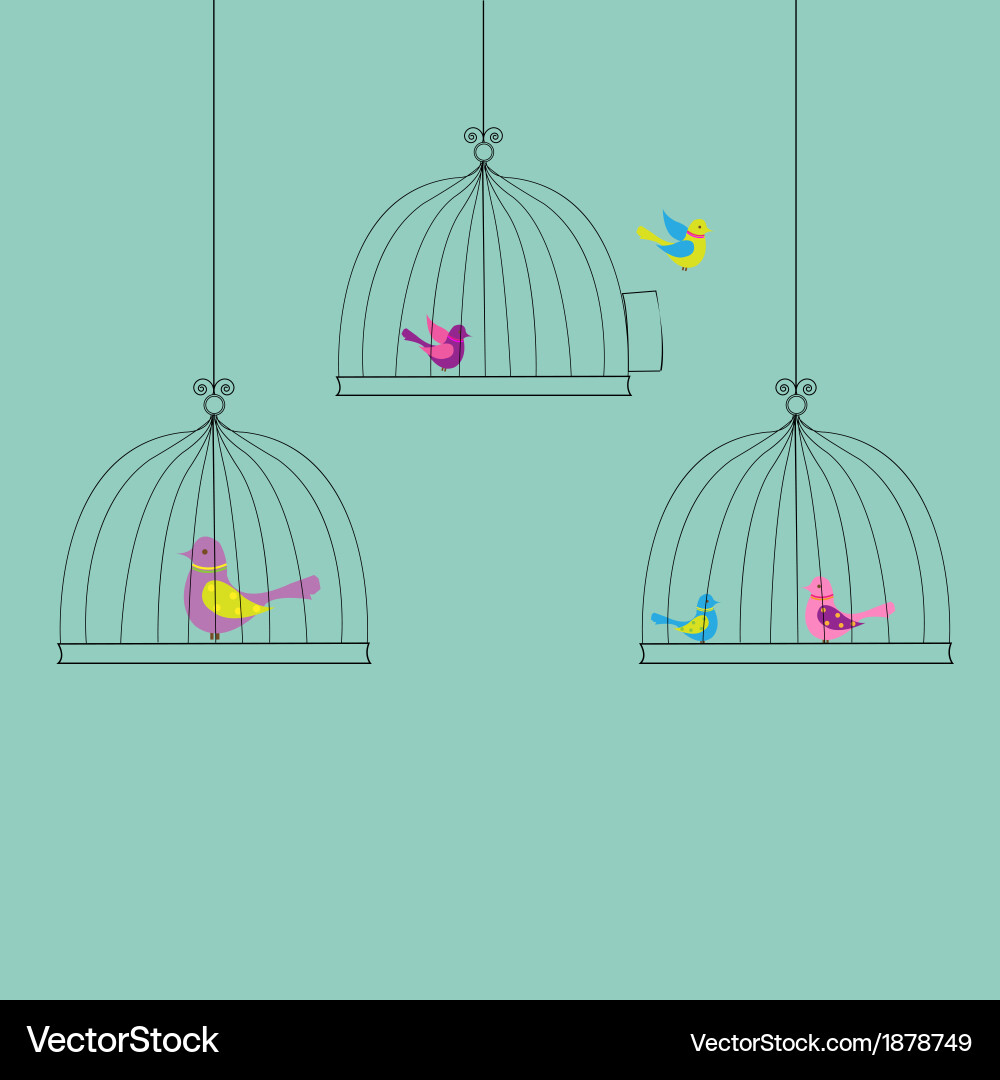 Color birds Royalty Free Vector Image - VectorStock