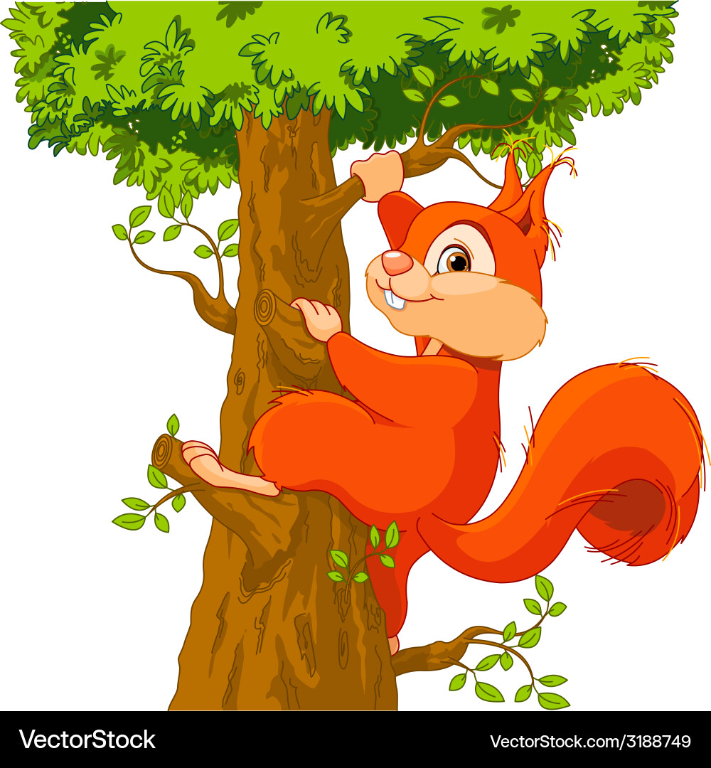 Squirrel on the tree Royalty Free Vector Image