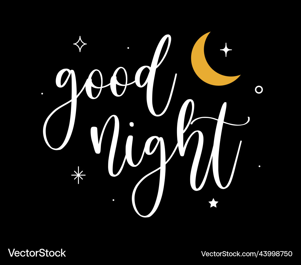 Good night handwritten modern brush lettering Vector Image