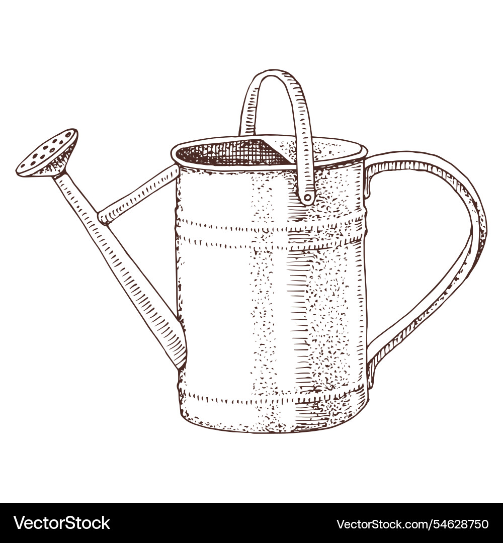 Hand drawn watering can Royalty Free Vector Image