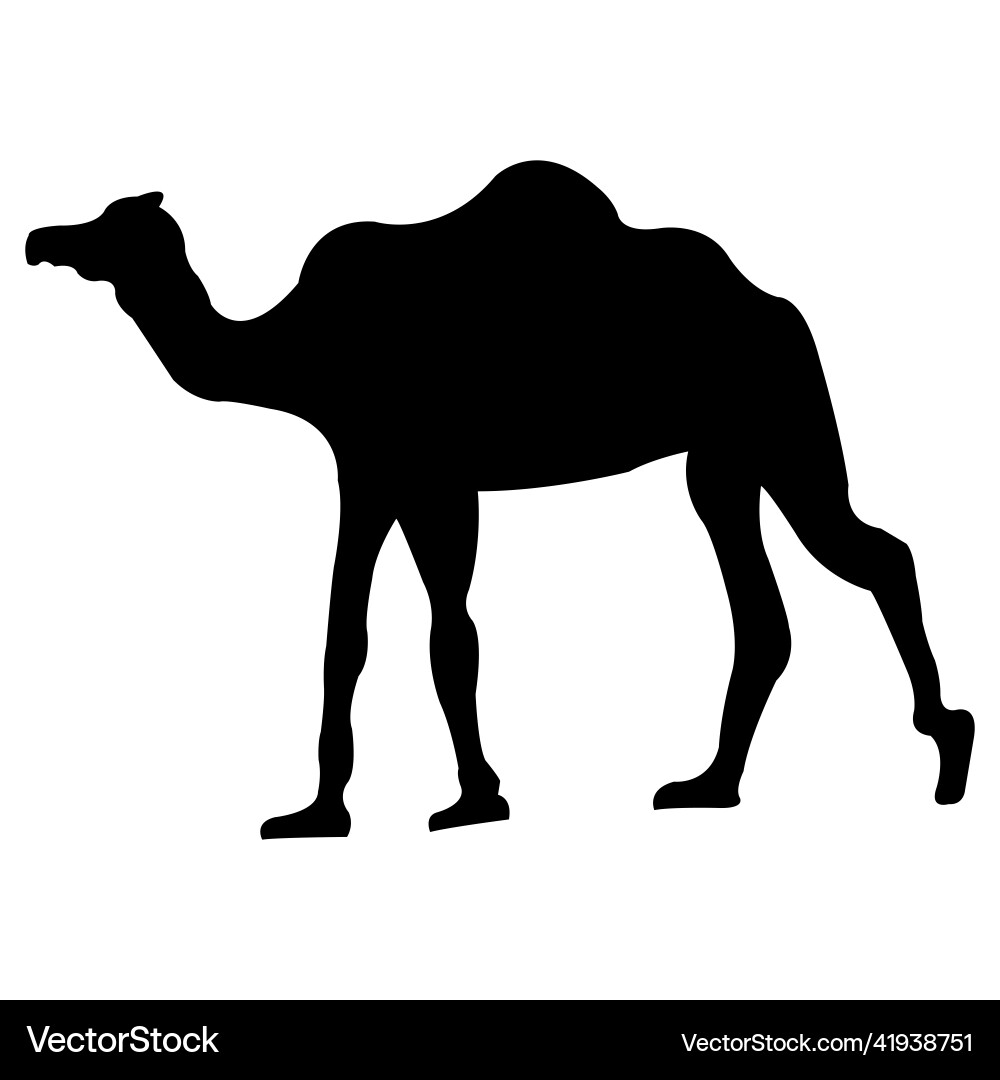 Camel Royalty Free Vector Image - VectorStock