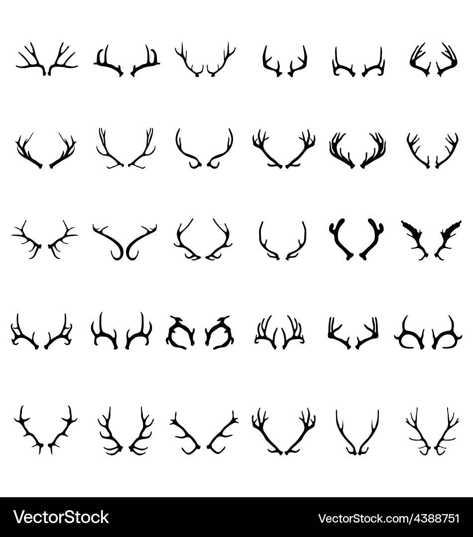 Deer horns Royalty Free Vector Image - VectorStock