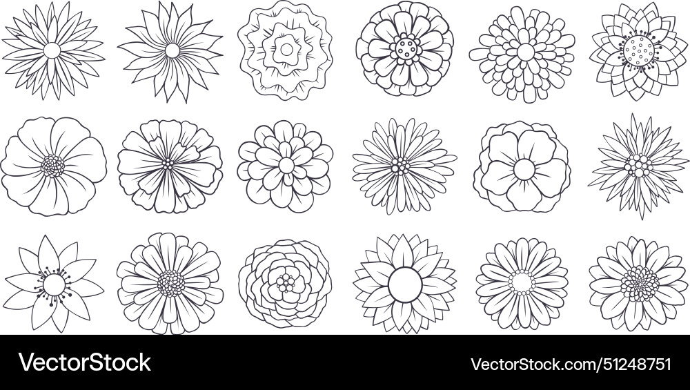 Doodle line flower for beauty garden Royalty Free Vector