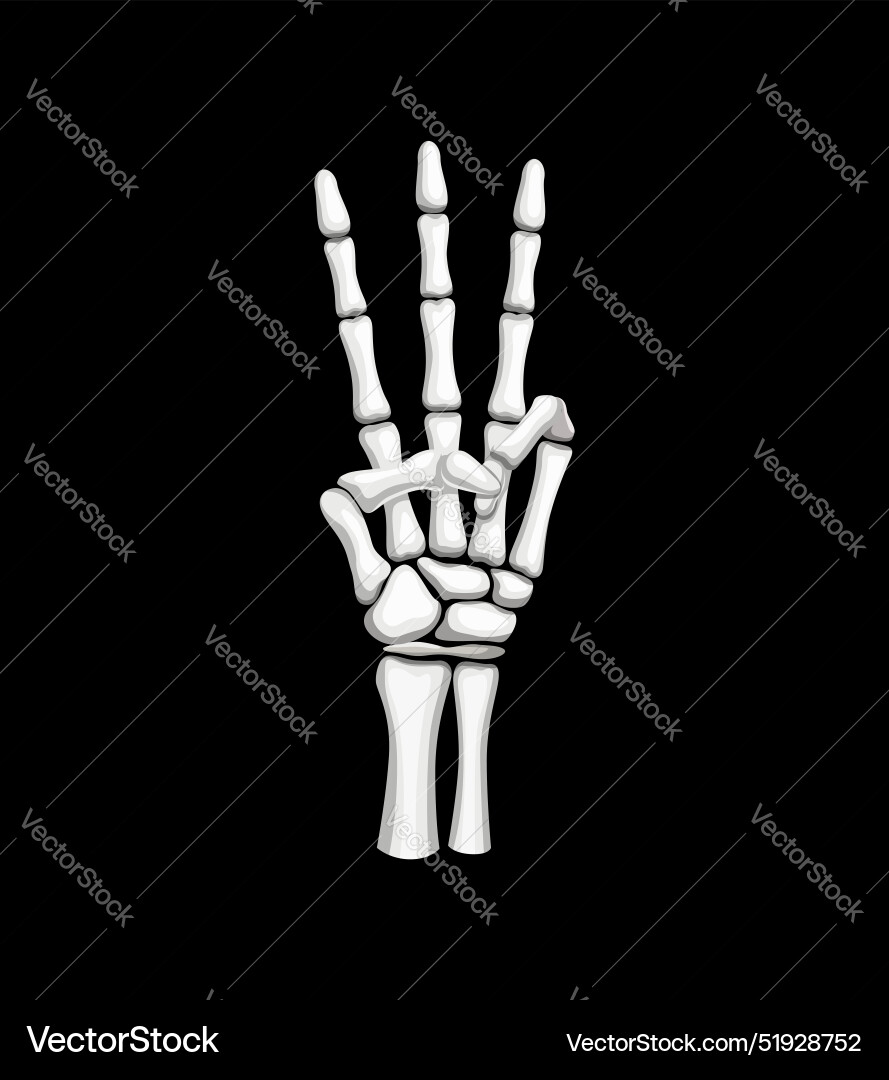 Skeleton hand forms a three-fingered gesture Vector Image