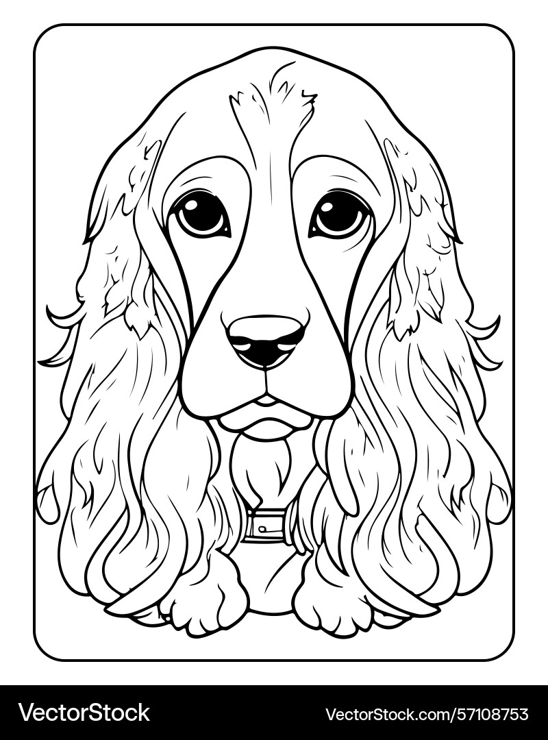 Adorable cocker spaniel dog coloring page Vector Image