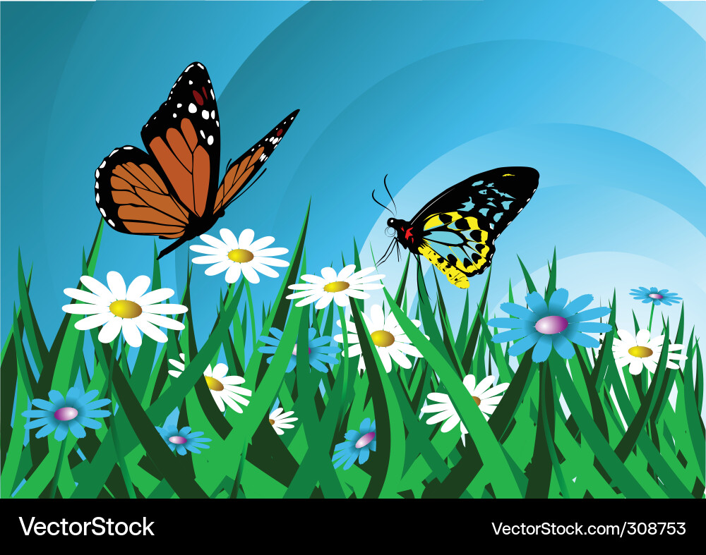 Butterfly Royalty Free Vector Image - VectorStock