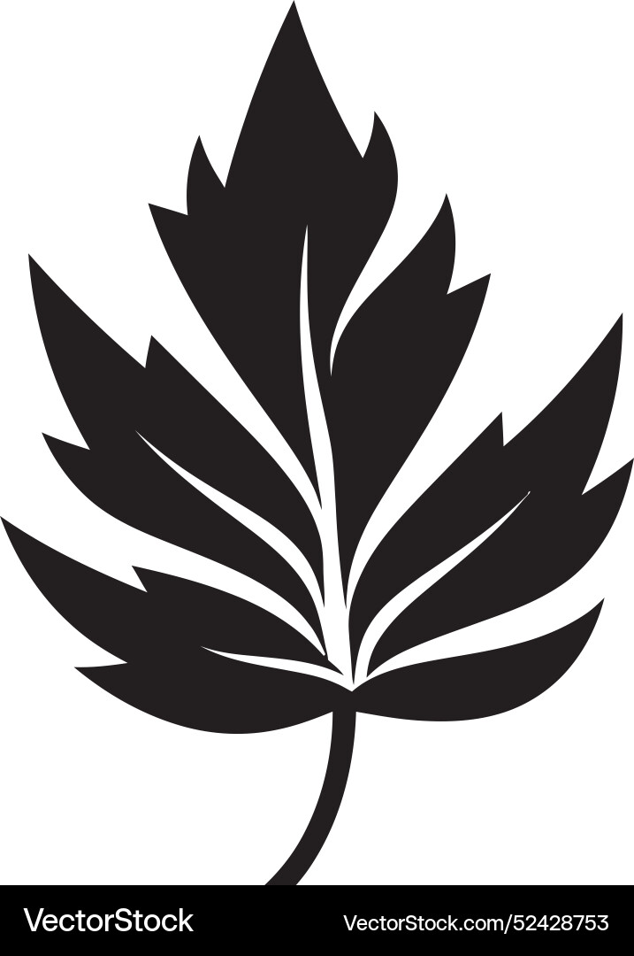 Foliage mastering leaf design natures Royalty Free Vector