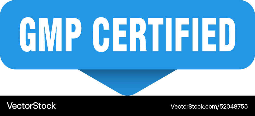 Gmp certified sticker sign Royalty Free Vector Image