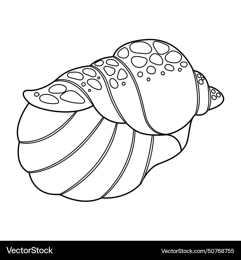 Seashell black and white outline art therapy Vector Image