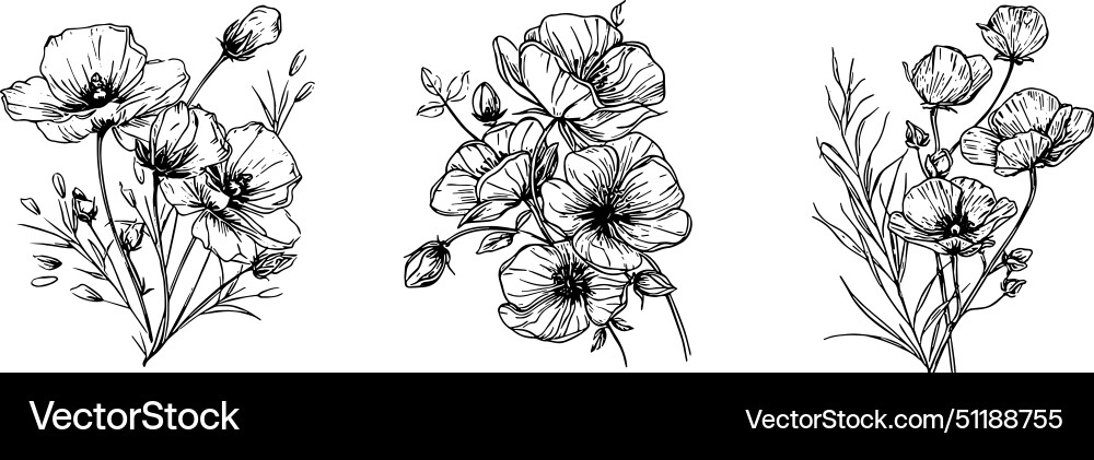 Set of flower sketches Royalty Free Vector Image