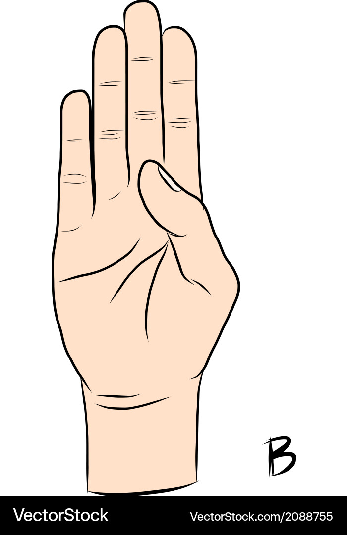 Sign language and the alphabetthe letter b Vector Image
