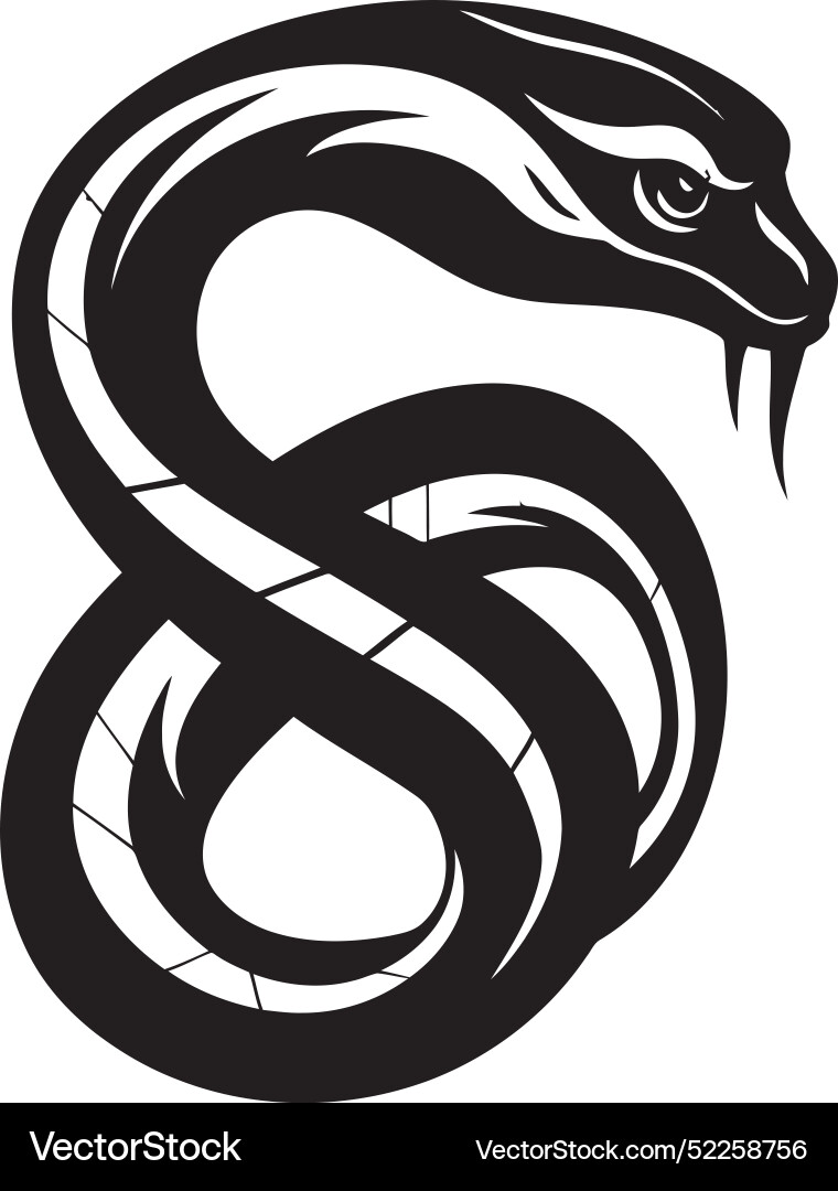 Intricate serpent shadows dark artchic viper Vector Image