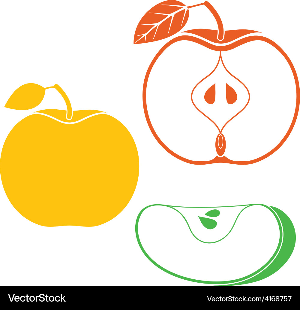Apple Royalty Free Vector Image - VectorStock