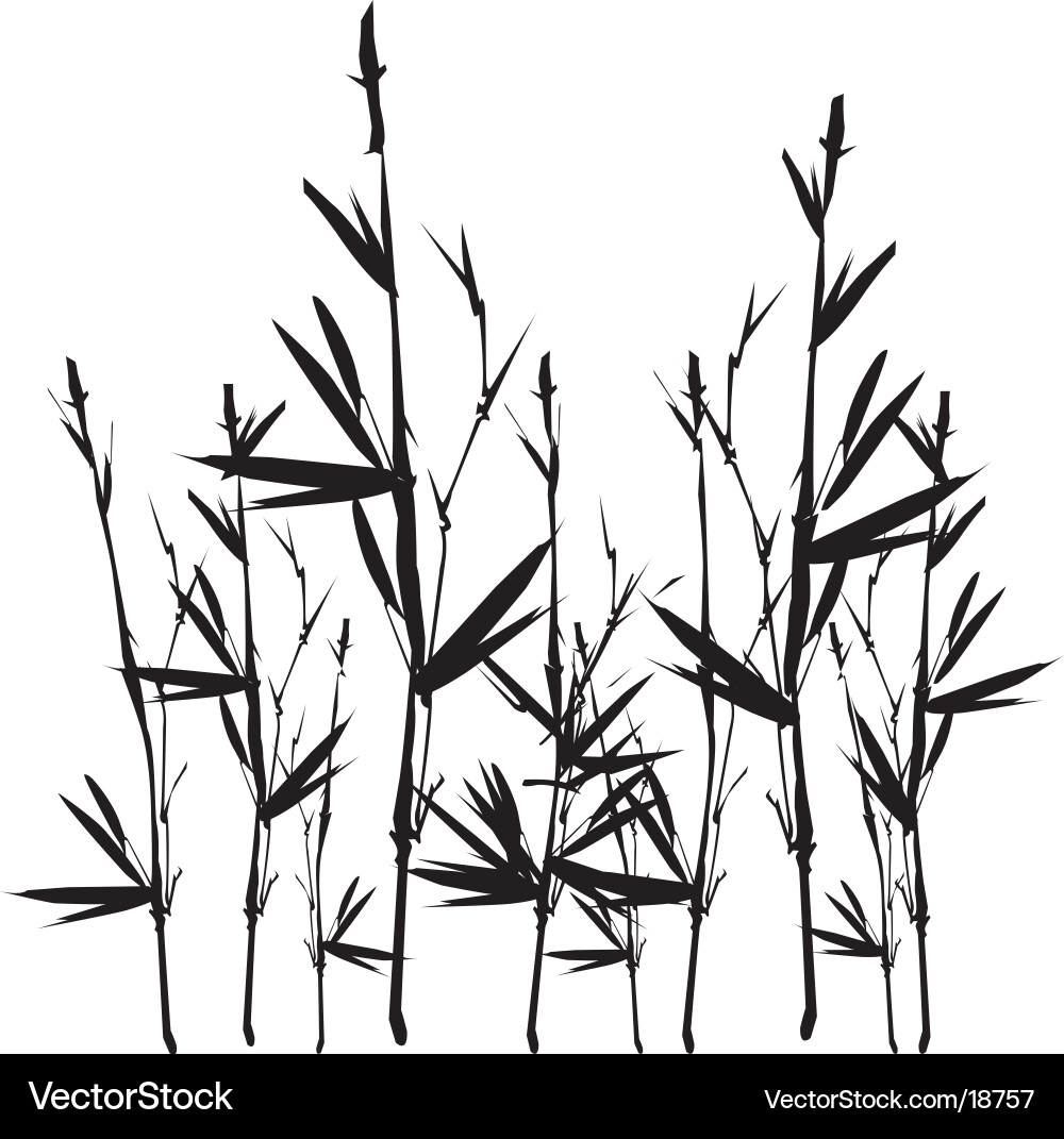 Bamboo Silhouette - Black Outline Royalty Free Vector Image
