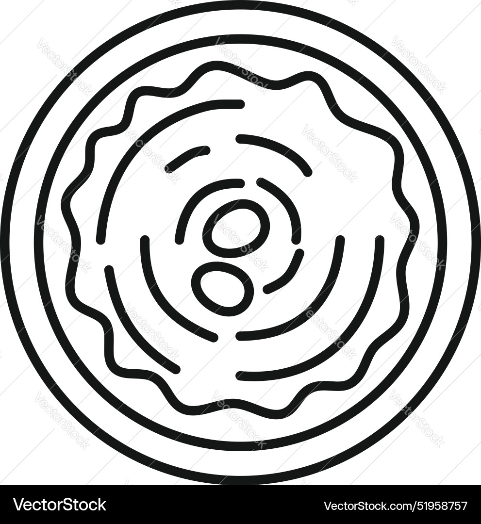 Delicious traditional turkish dessert kunefe Vector Image