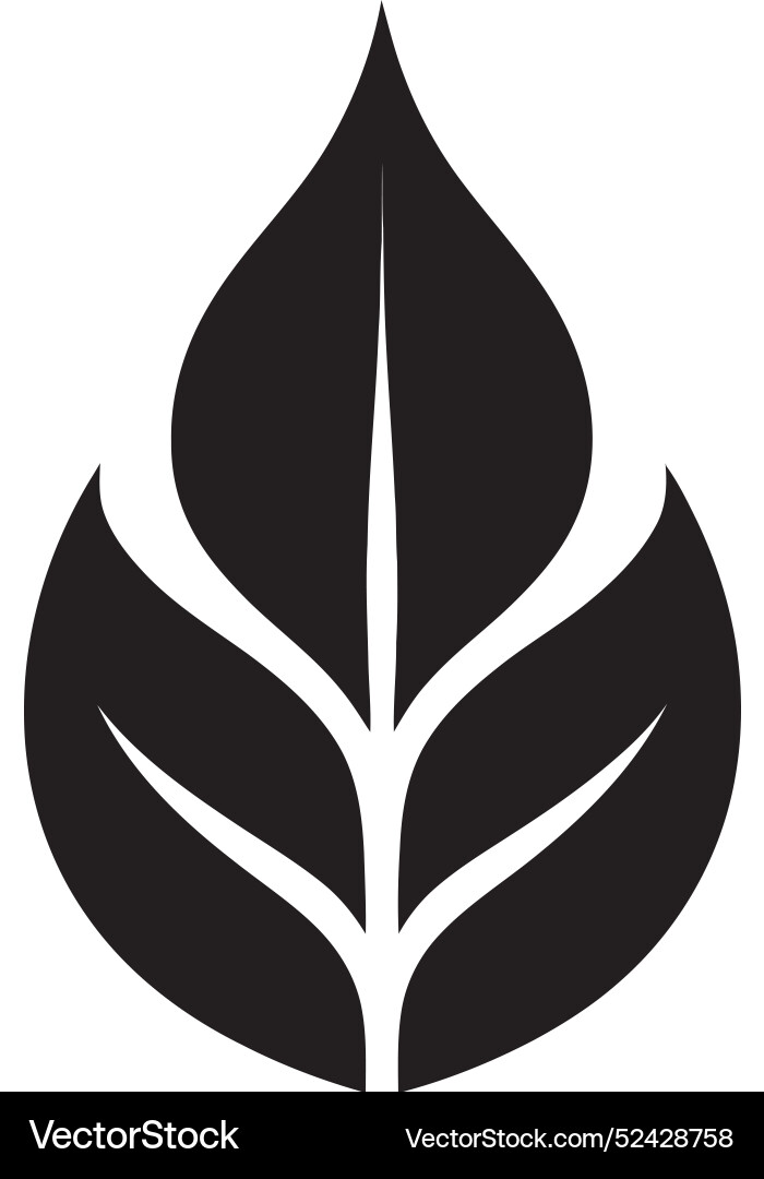 Designing with nature leaf magiccrafting Vector Image