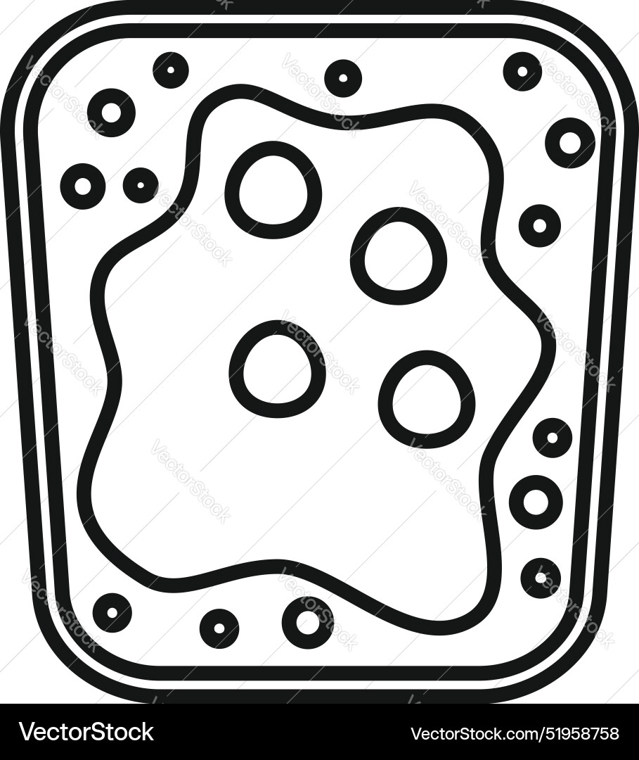Microscopic view of a cell membrane showing Vector Image