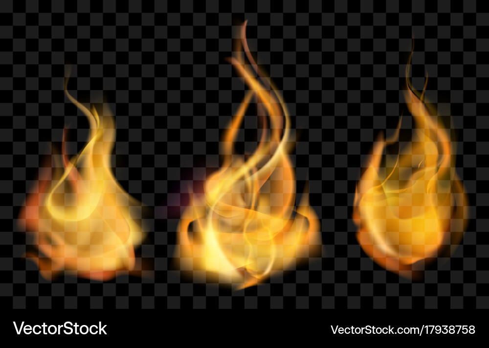 Realistic fire Royalty Free Vector Image - VectorStock