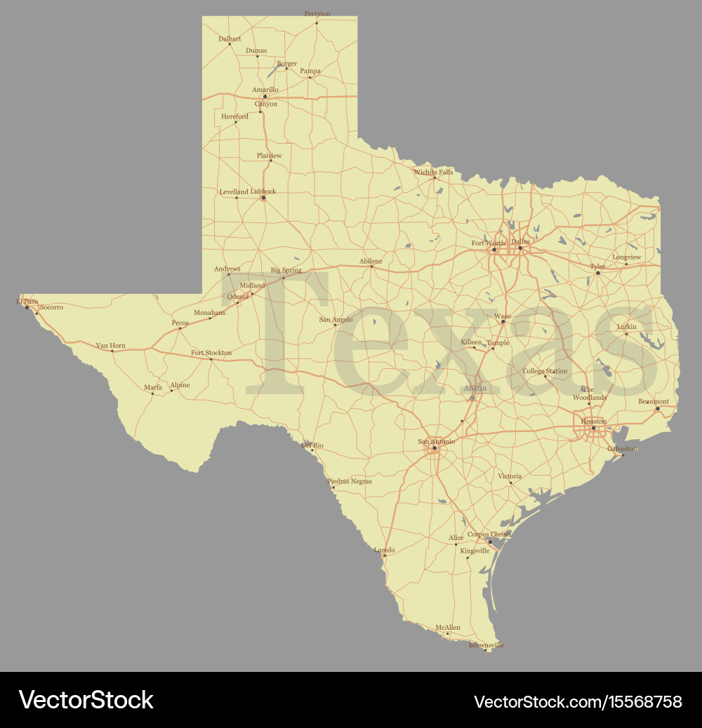 Texas accurate exact detailed state map Royalty Free Vector