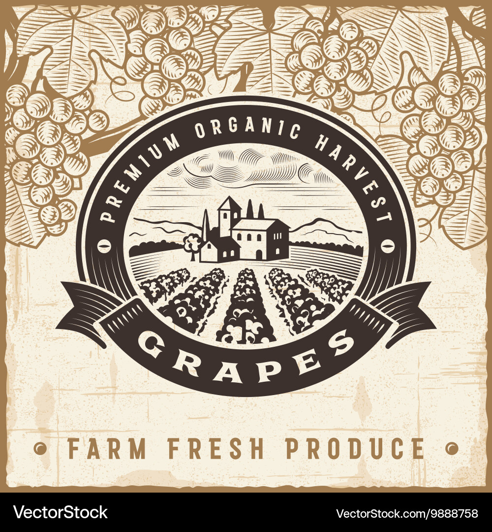 Vintage grapes harvest label Royalty Free Vector Image