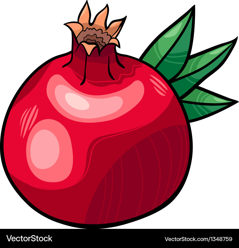 Pomegranate fruit cartoon Royalty Free Vector Image