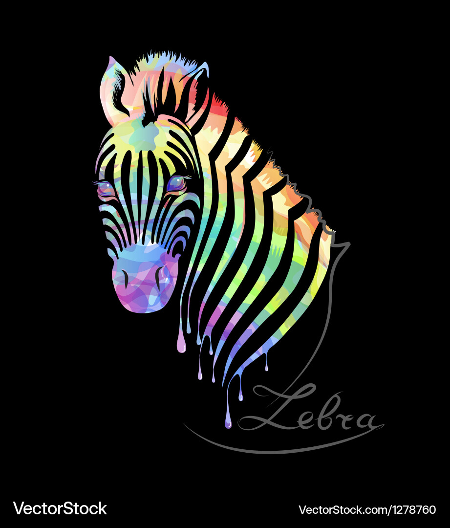Colorful Zebra Stripes Royalty Free Vector Image