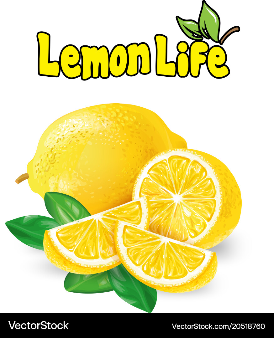 Vegetable lemon life white background image Vector Image
