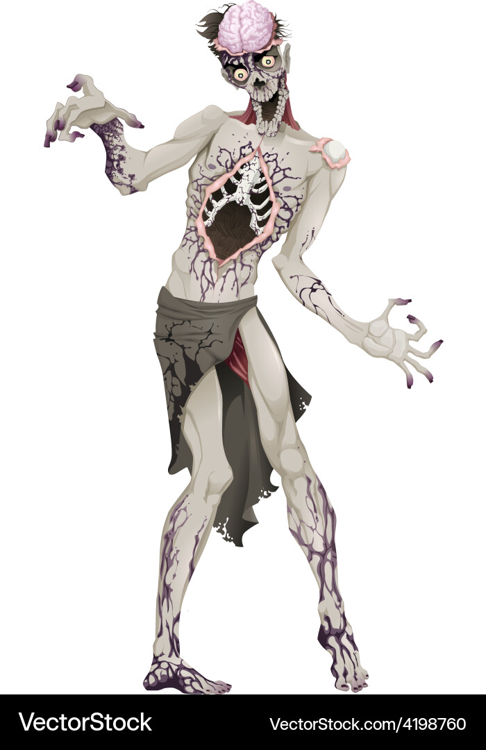 Zombie Royalty Free Vector Image - VectorStock