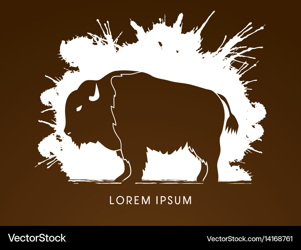 Big buffalo Royalty Free Vector Image - VectorStock