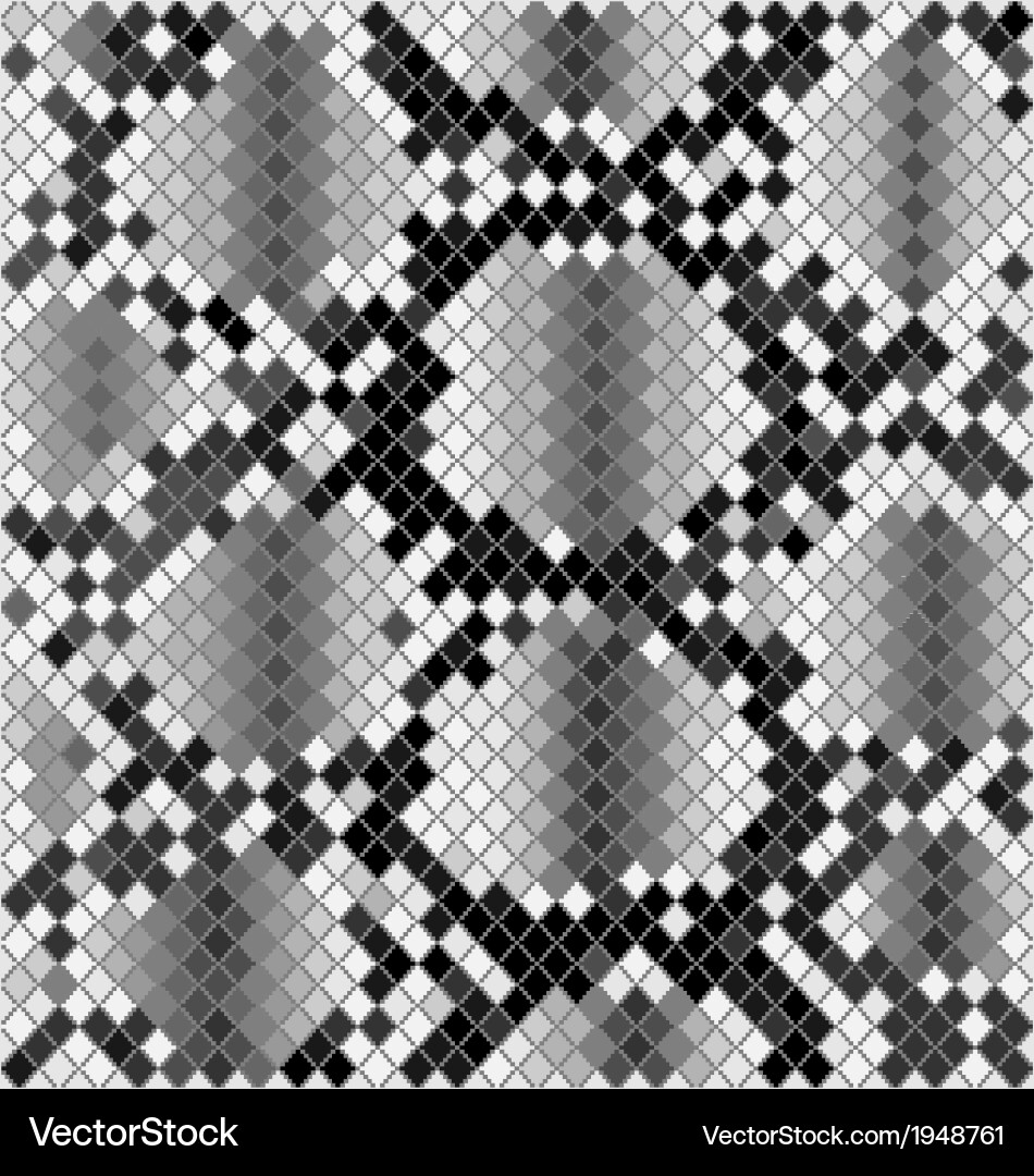 Skin of snake Royalty Free Vector Image - VectorStock
